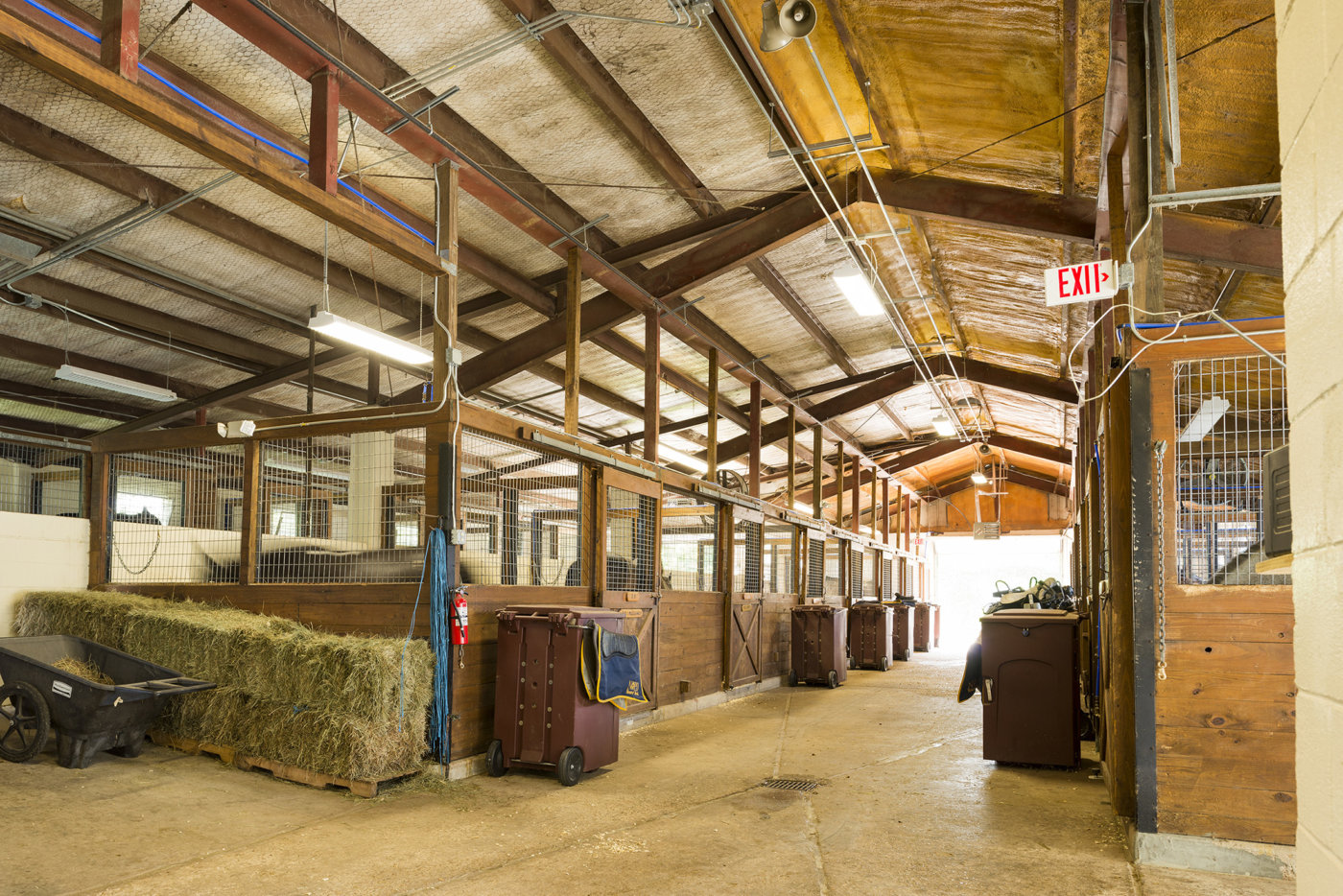 NOPD Mounted Division Horse Stables | SCNZ Architects
